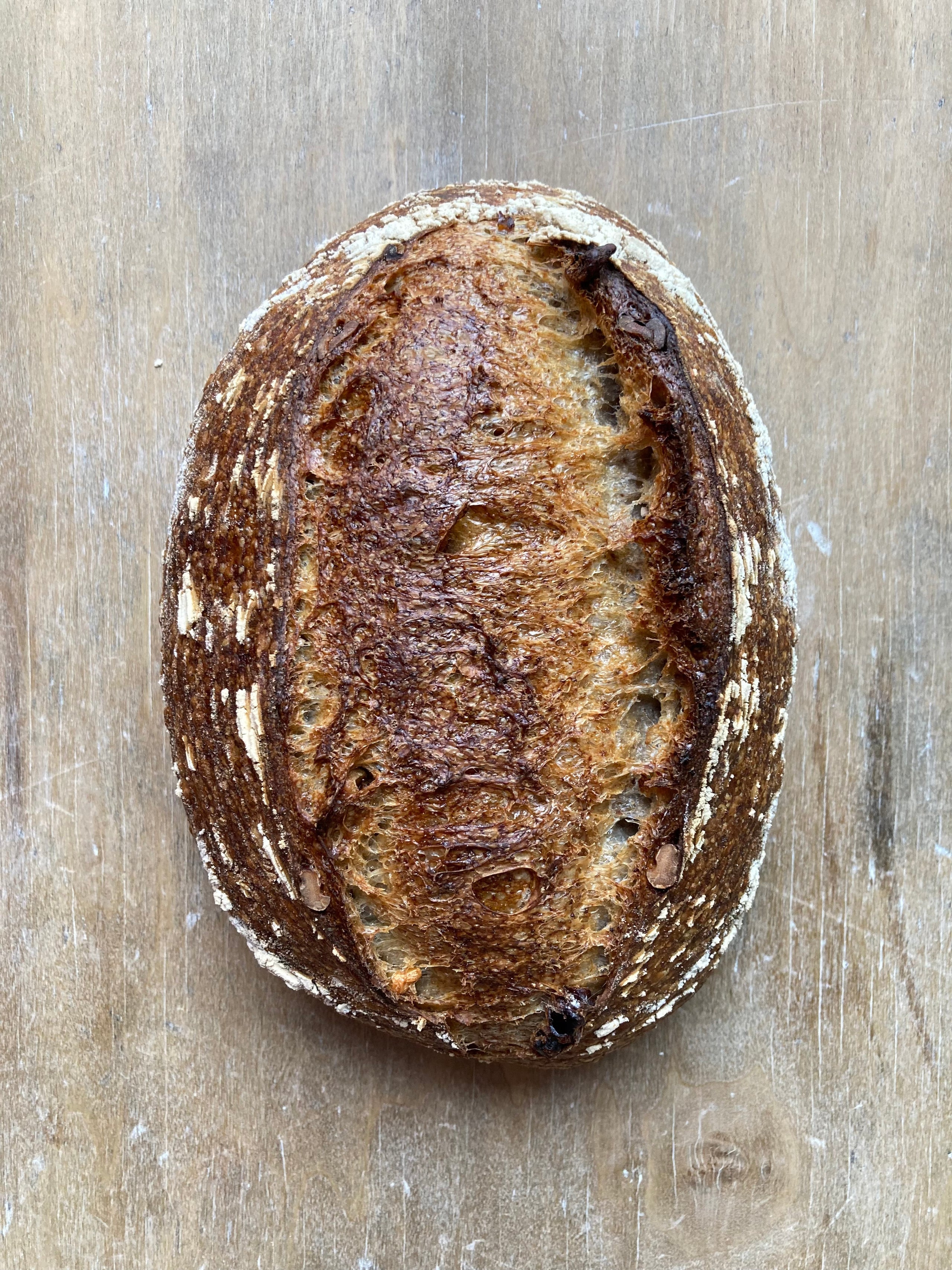 Walnut Levain | Columbia City Bakery